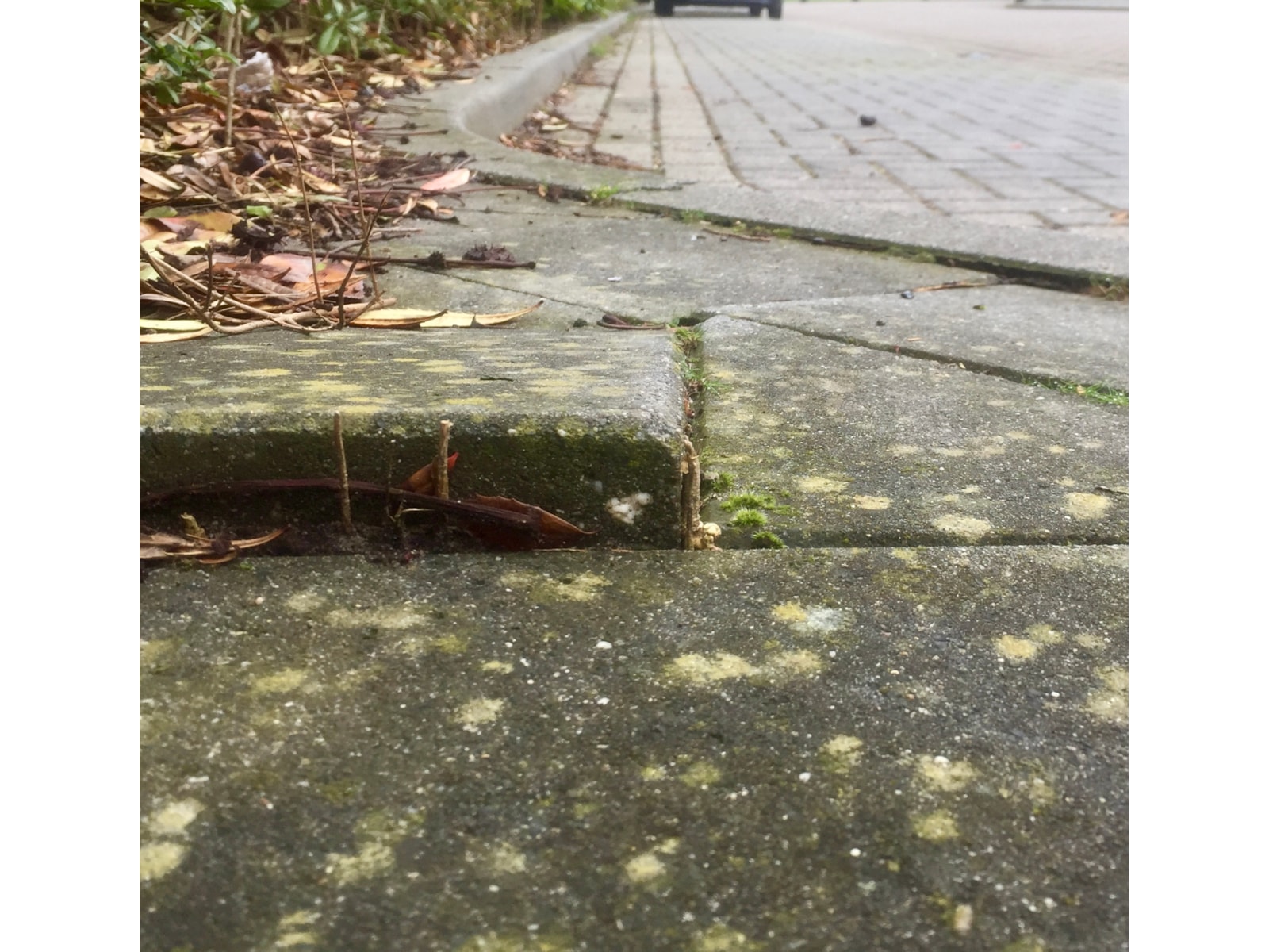 Struikelen over een stoeptegel - Cure Letselschade